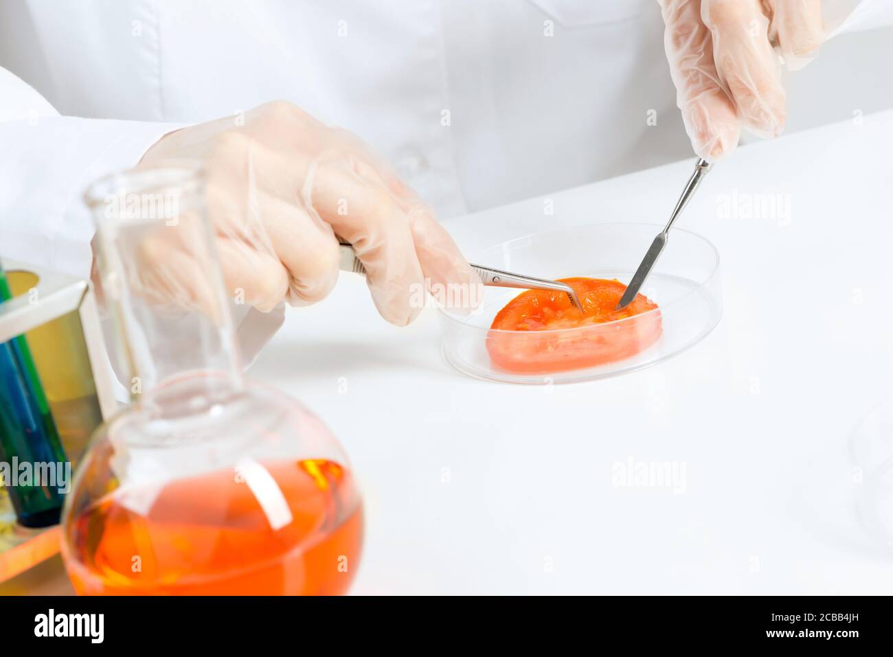 Plant health check tomato hi-res stock photography and images - Alamy