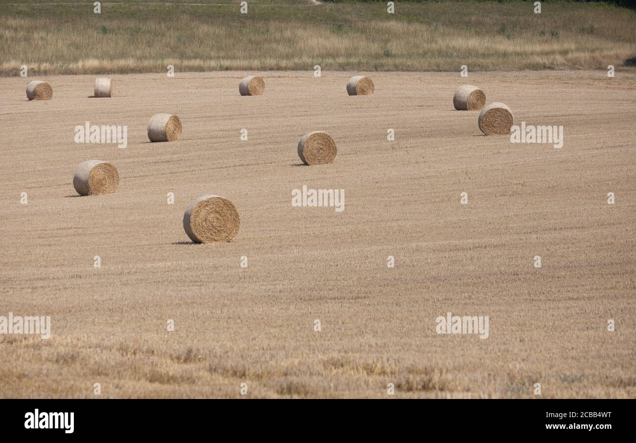Cutting fields pattern hi-res stock photography and images - Alamy