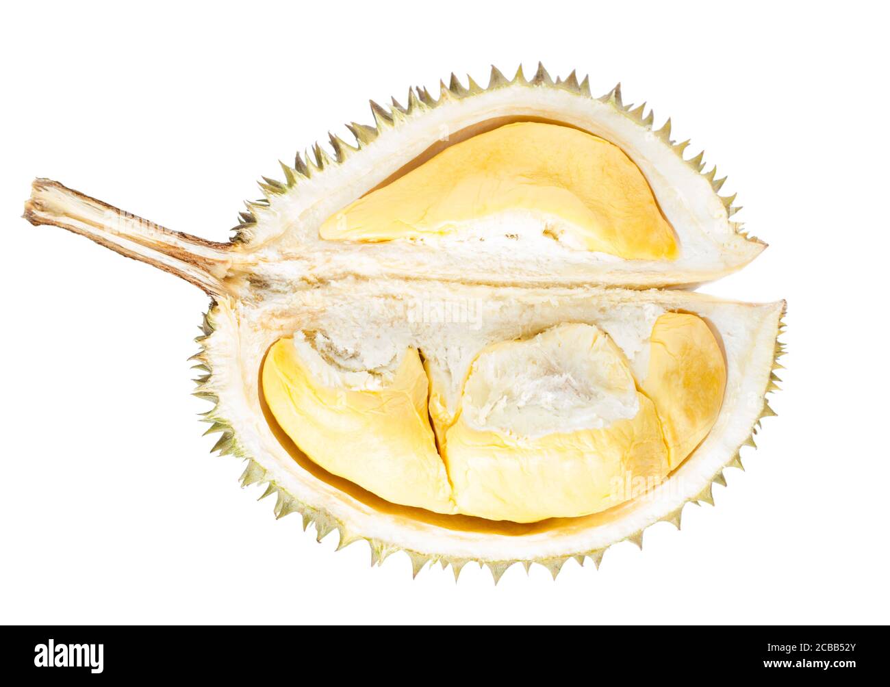 Durian fruit section isolated on white background Stock Photo - Alamy