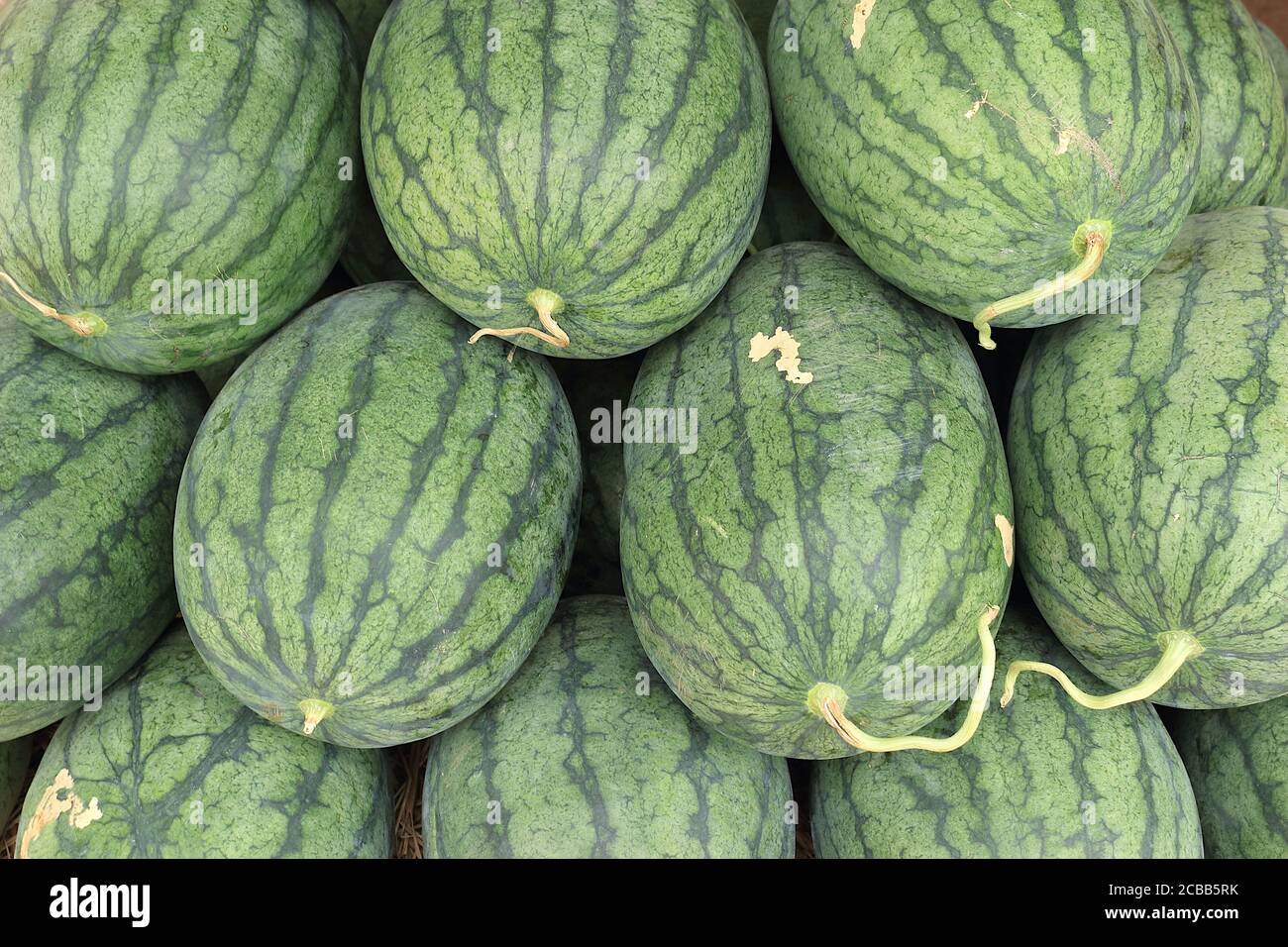 Different Colored Watermelon