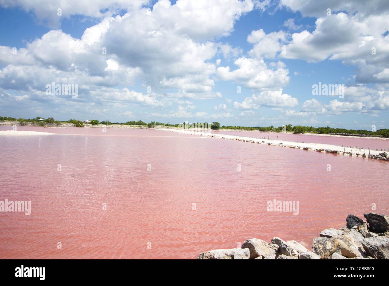 Pink water (Las coloradas), Merida Yucatan Stock Photo - Alamy