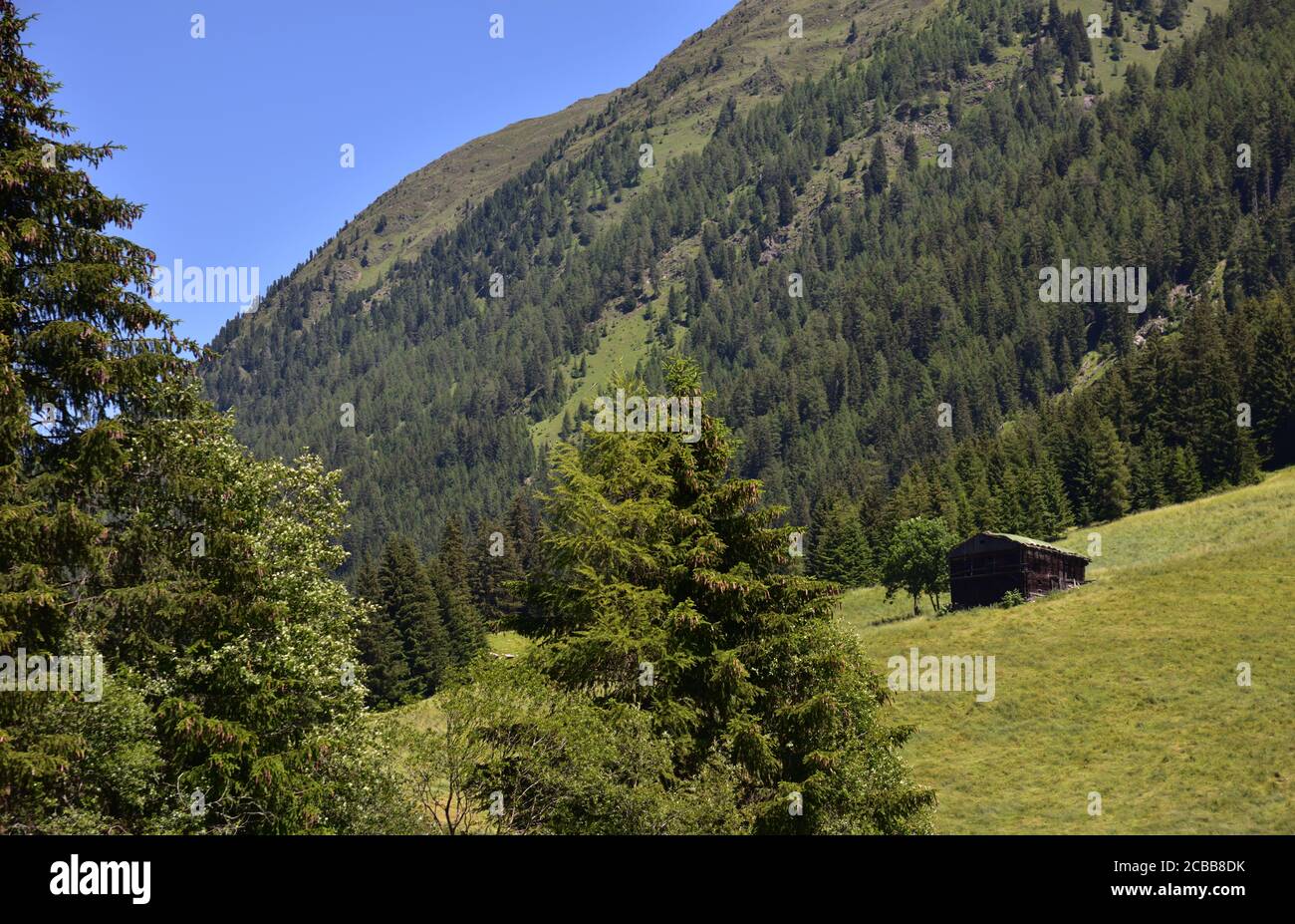 Meadow with barn and a view of the mountains hi-res stock photography ...