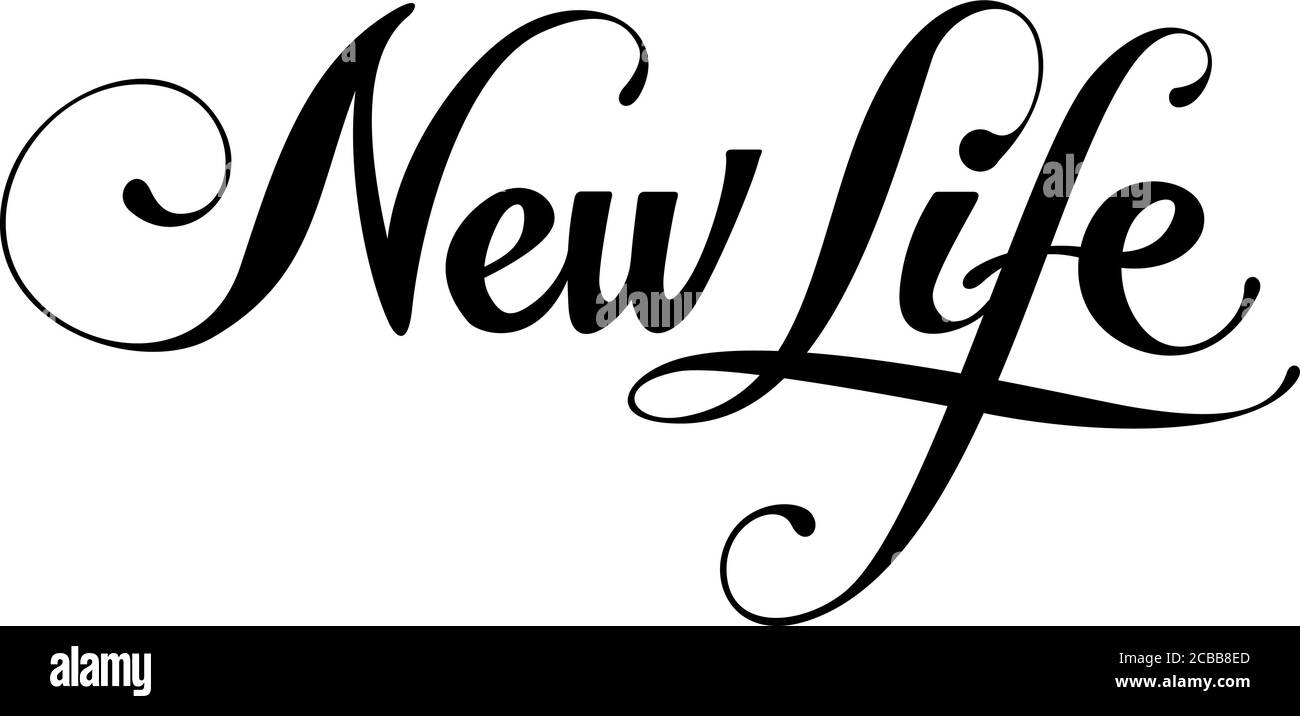 Custom calligraphy text Stock Vector Image & Art - Alamy