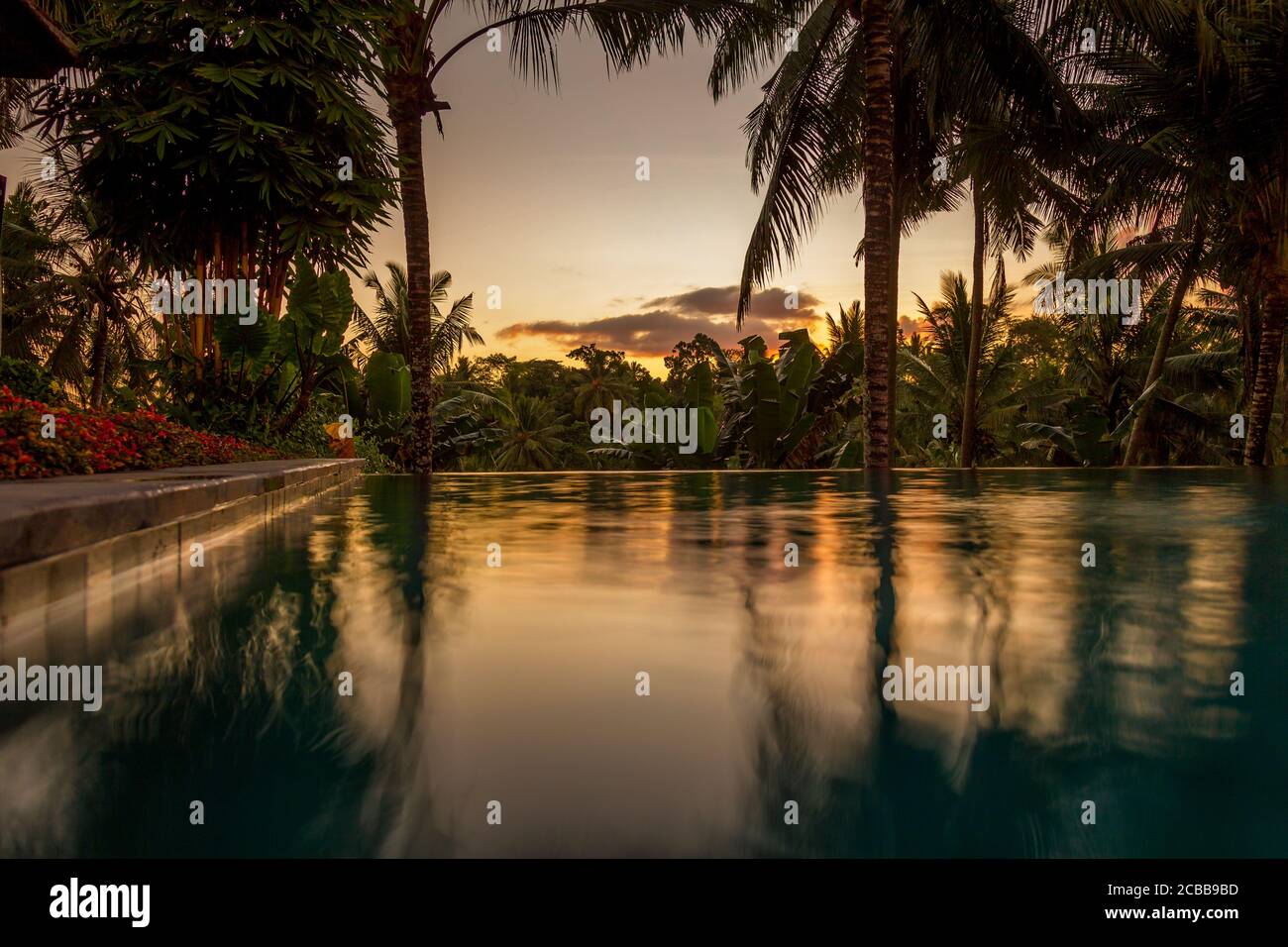 Pool in paradise beautiful poolside hi-res stock photography and images ...