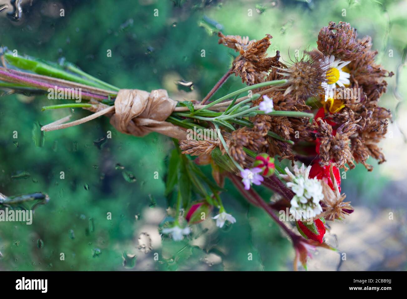Fine Art / Concept - Natural Storm - View of Wet Wildflower Posy Stock ...