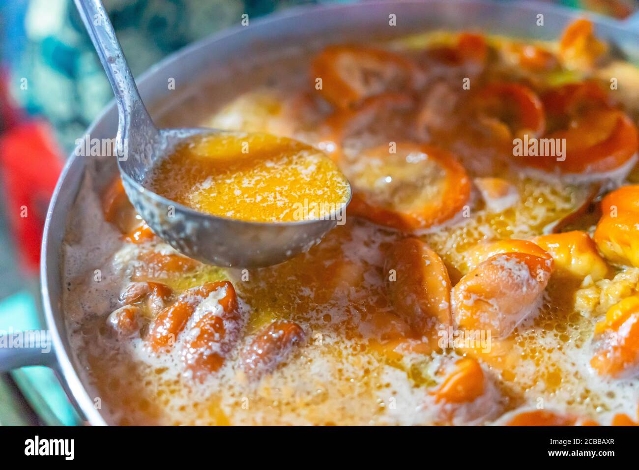 Close focus of Vietnamese braised beef offal or beef offal stew ( pha ...