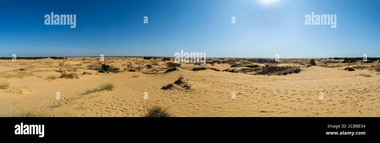 Panoramic view of Oleshky Sands on a blue sky in the Kherson region in ...