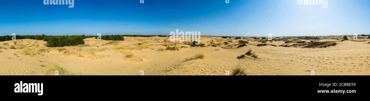 Panoramic view of Oleshky Sands on a blue sky in the Kherson region in ...