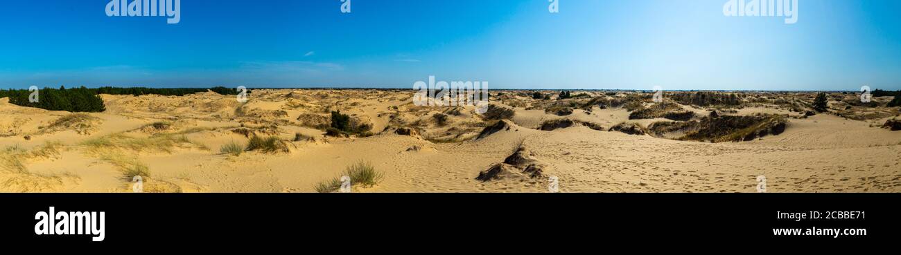 Panoramic view of Oleshky Sands on a blue sky in the Kherson region in ...