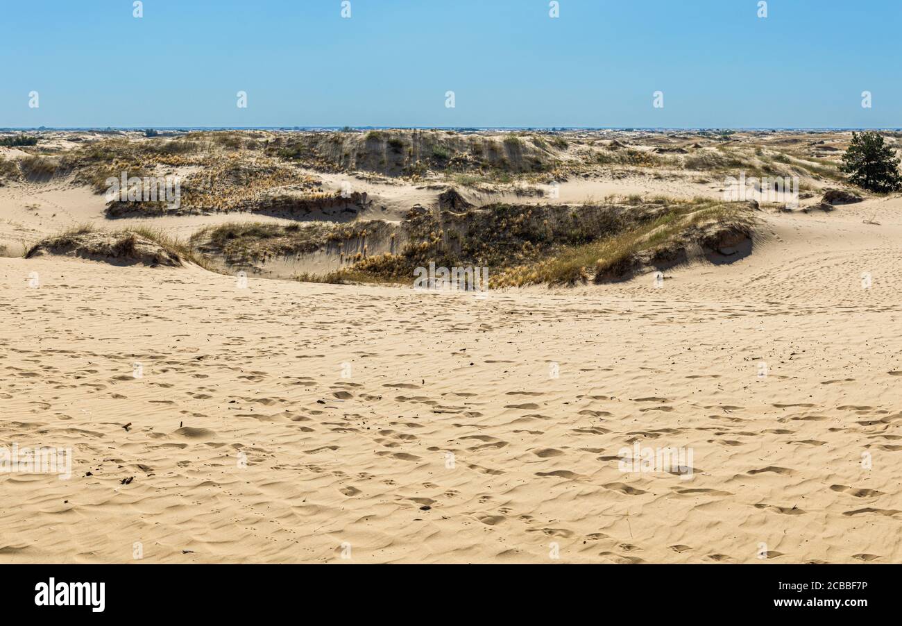 Panoramic view of Oleshky Sands on a blue sky in the Kherson region in ...