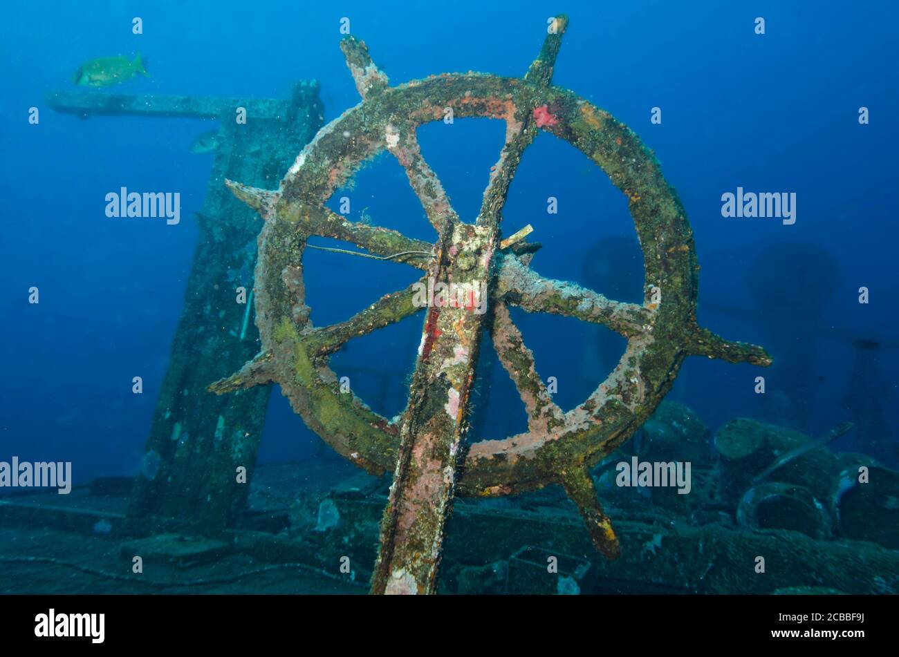 Coral growth on the Boga wreck, Tulamben, Bali Stock Photo - Alamy