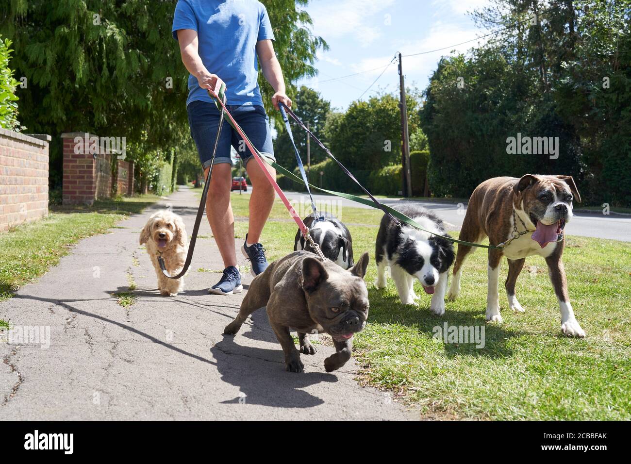Man walking with sheepdog hi-res stock photography and images - Alamy