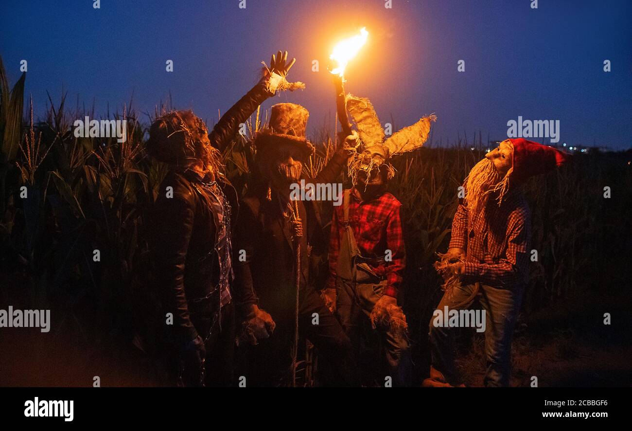 Four walking dead zombies stand in field at night with burning torch in ...