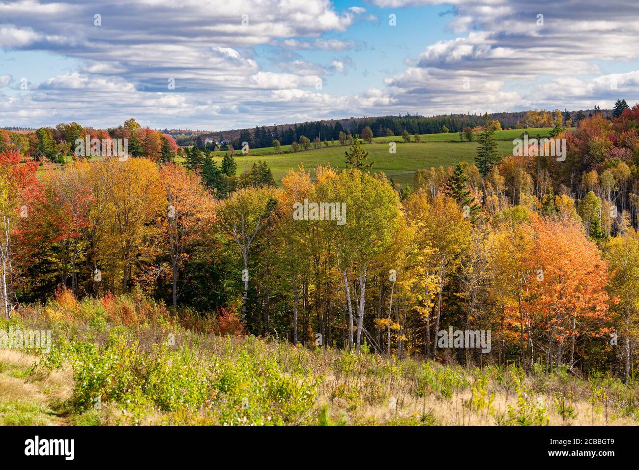 Fall foliage and the rolling hill of rural Prince Edward Island Stock ...