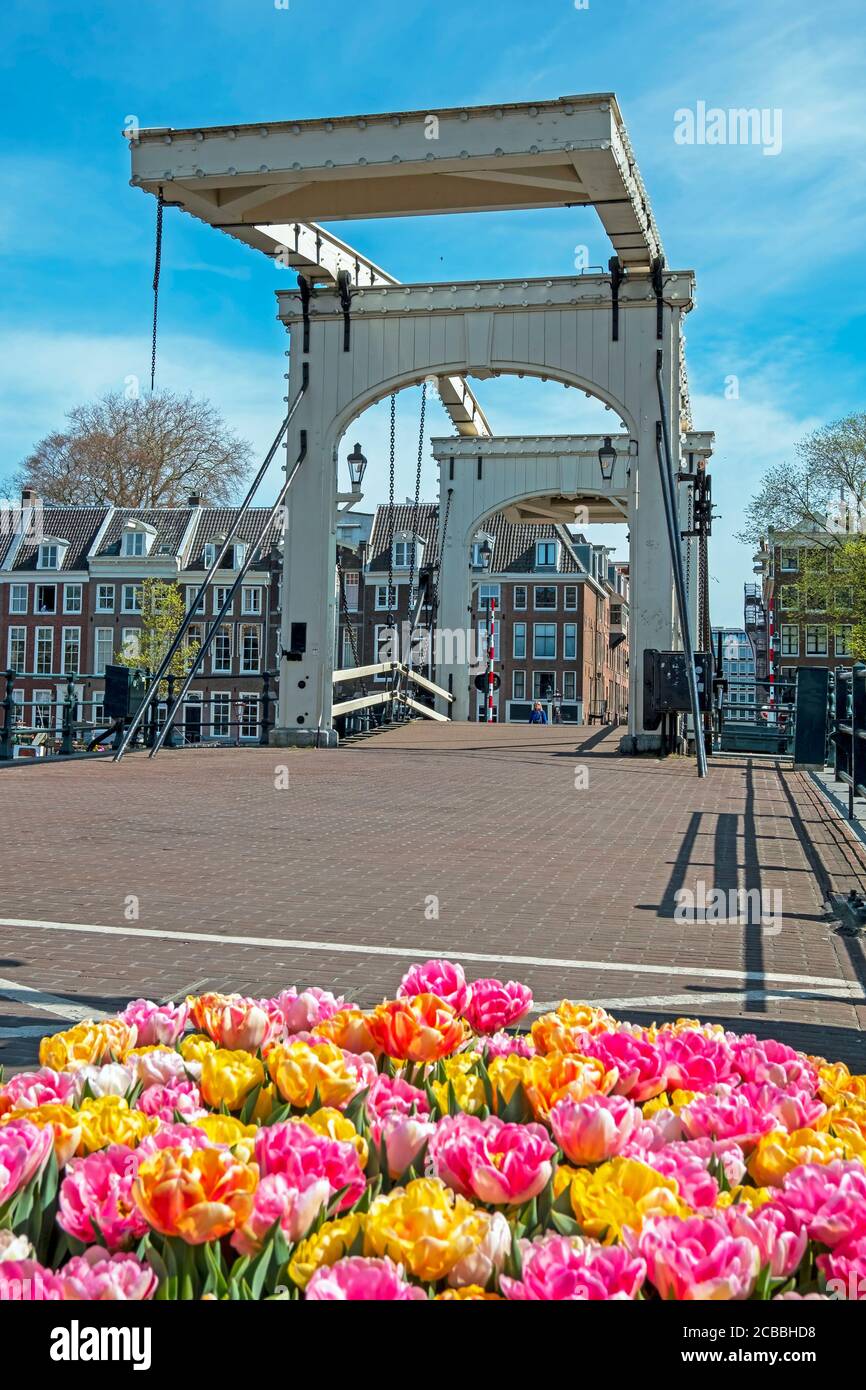City scenic from Amsterdam in spring at the Tiny bridge in the ...