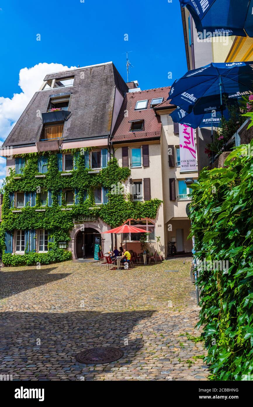 FREIBURG IM BRISGAU, GERMANY, 18 JULY 2020: Greenery on historic ...