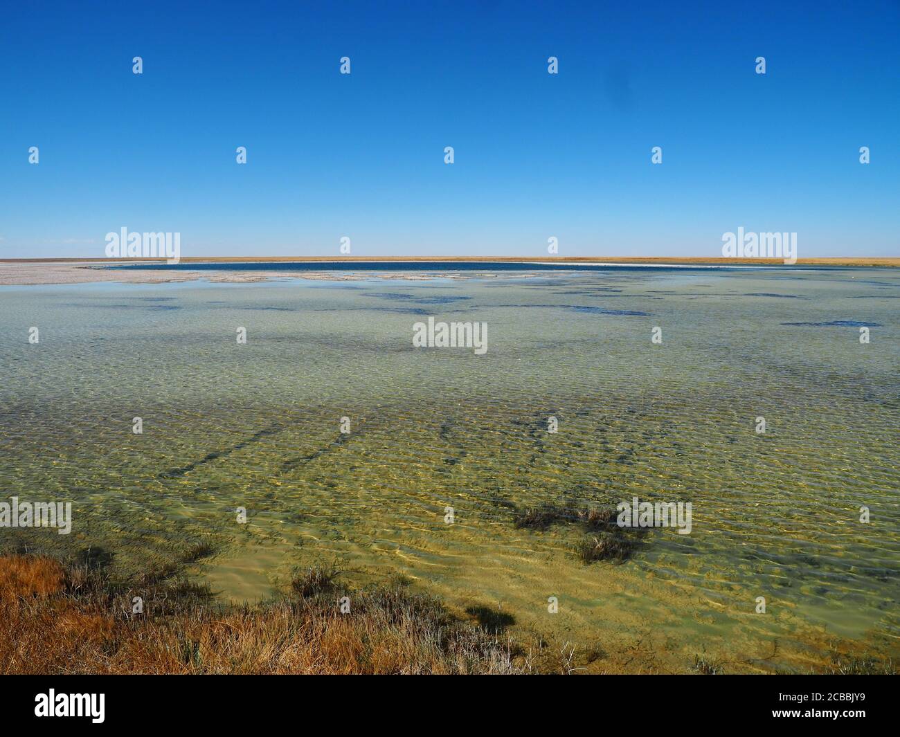 Beautiful shot of a transparent lake Stock Photo - Alamy