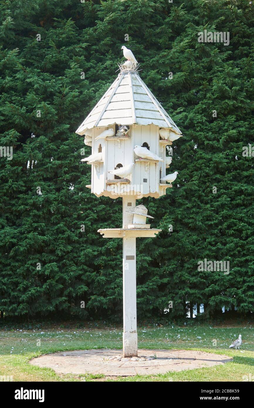 Dove doves dovecote dovecot hi-res stock photography and images - Alamy