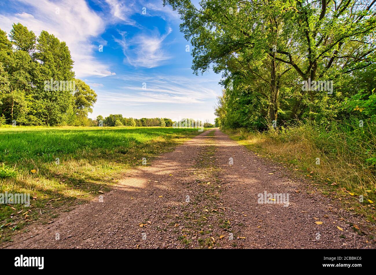 Cycle path through the park in sunshine Stock Photo - Alamy