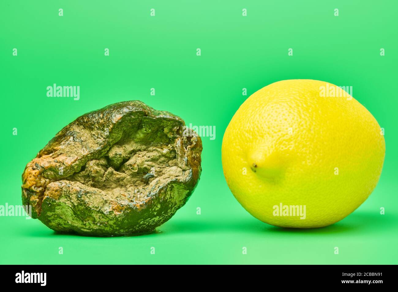 Rotten lemon and fresh lemon compare, green background. Mold putrefied ...