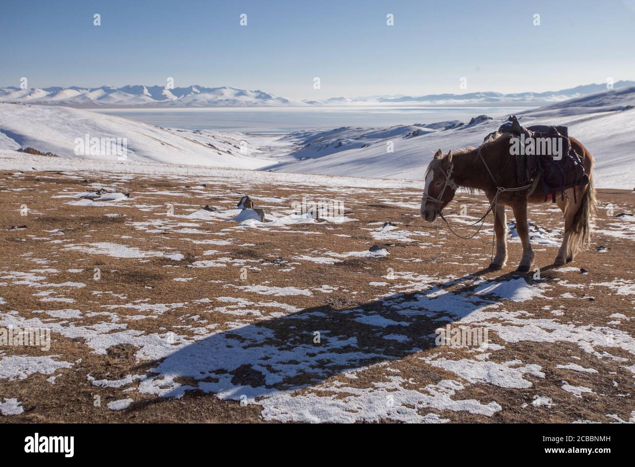 Scenes from Son Kol Lake in Kyrgyzstan's Naryn Oblast Stock Photo - Alamy
