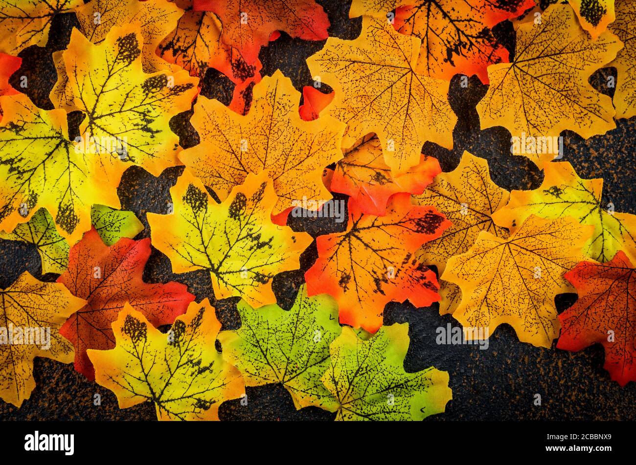 dark Autumn background with colored Decorative leaves Stock Photo - Alamy