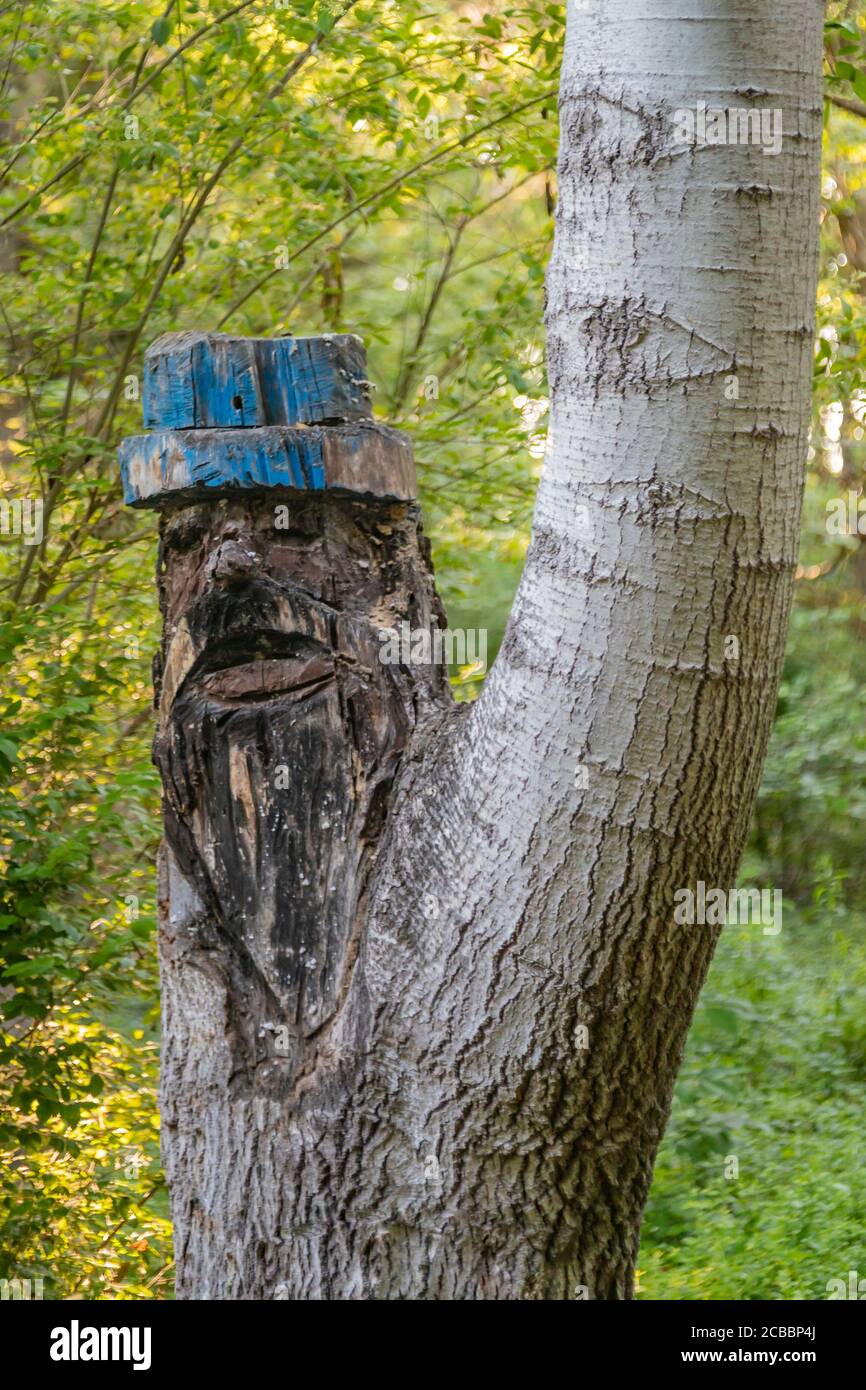 Tree face carving hi-res stock photography and images - Alamy