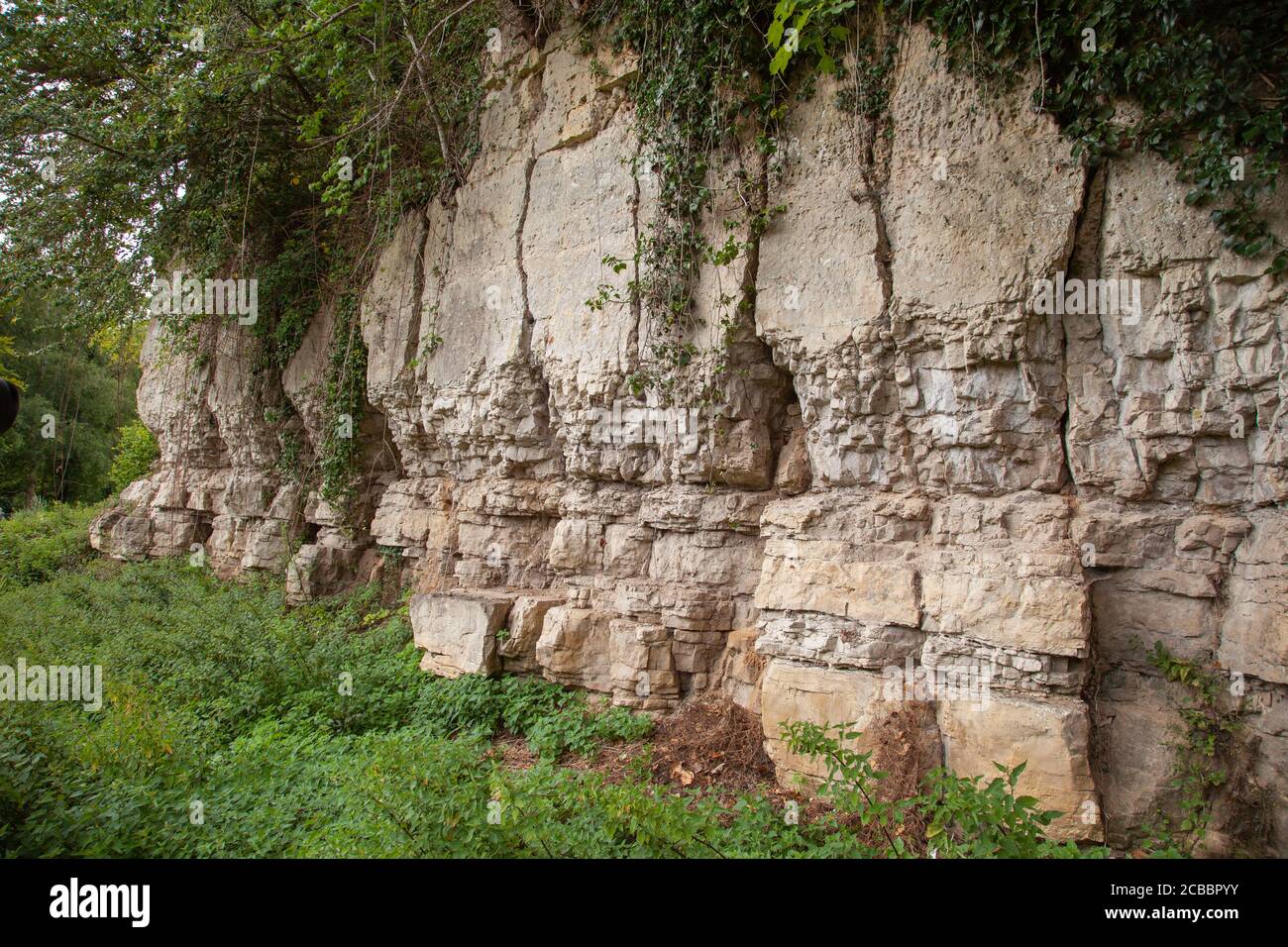 Roche Abbey, Parish of Maltby, Rotherham, South Yorkshire, English ...