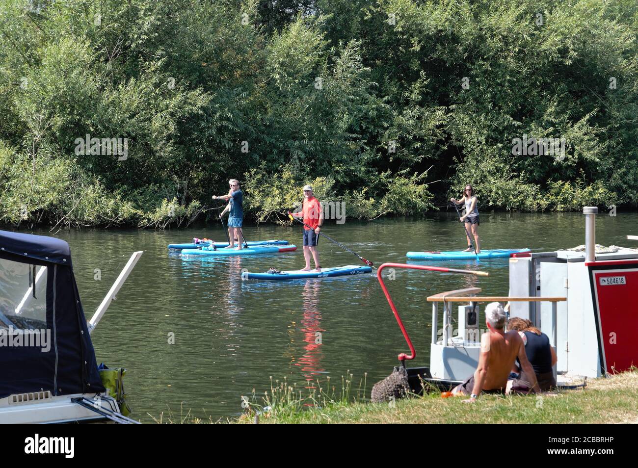 Paddle boarders on the River Thames at Shepperton on a hot summers day ...