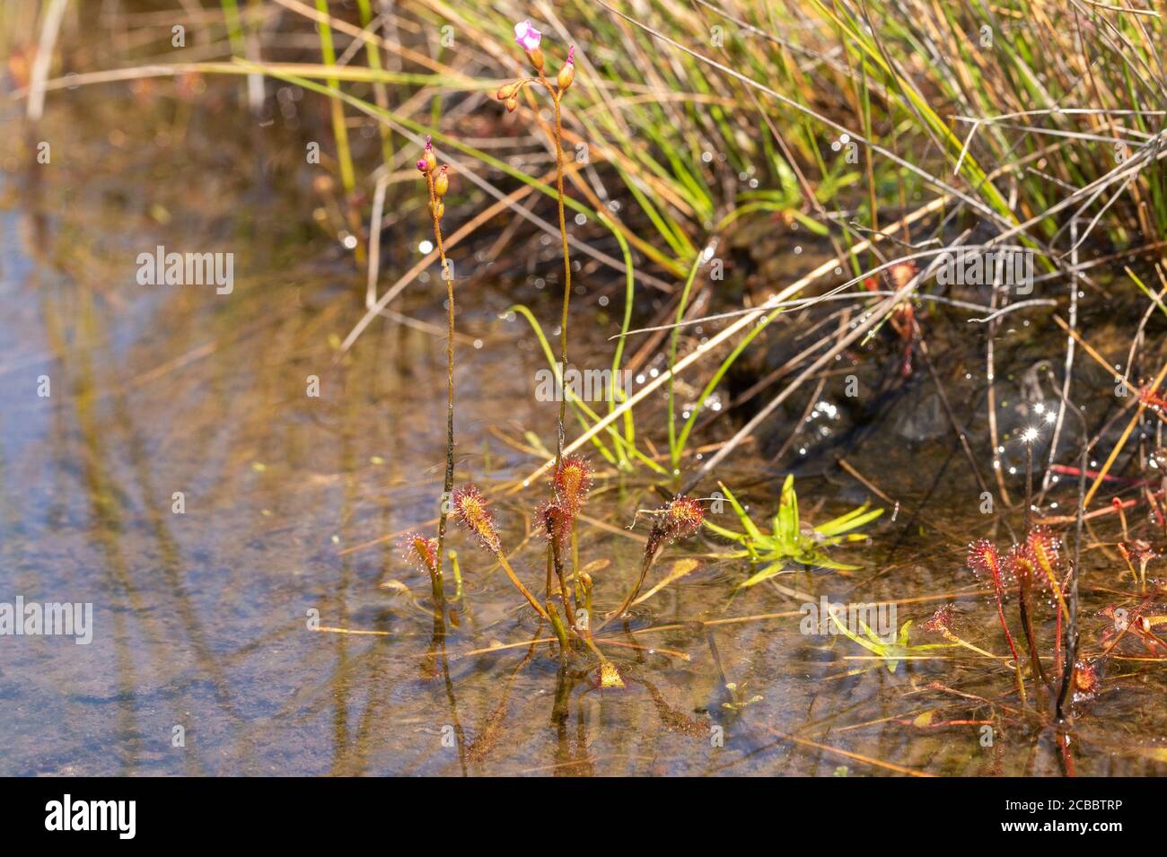 Umtamvuna river hi-res stock photography and images - Alamy