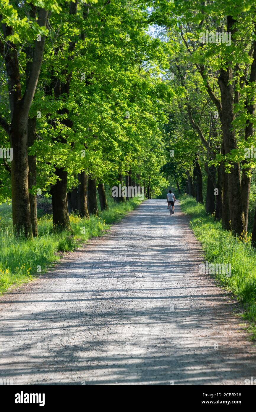 Quiet bike hi-res stock photography and images - Alamy