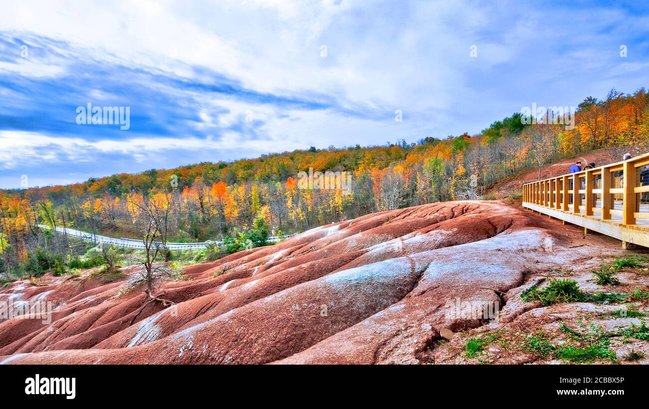 Caledon forest hi-res stock photography and images - Alamy
