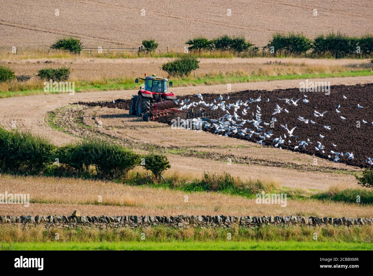 Farming cycle hi-res stock photography and images - Alamy