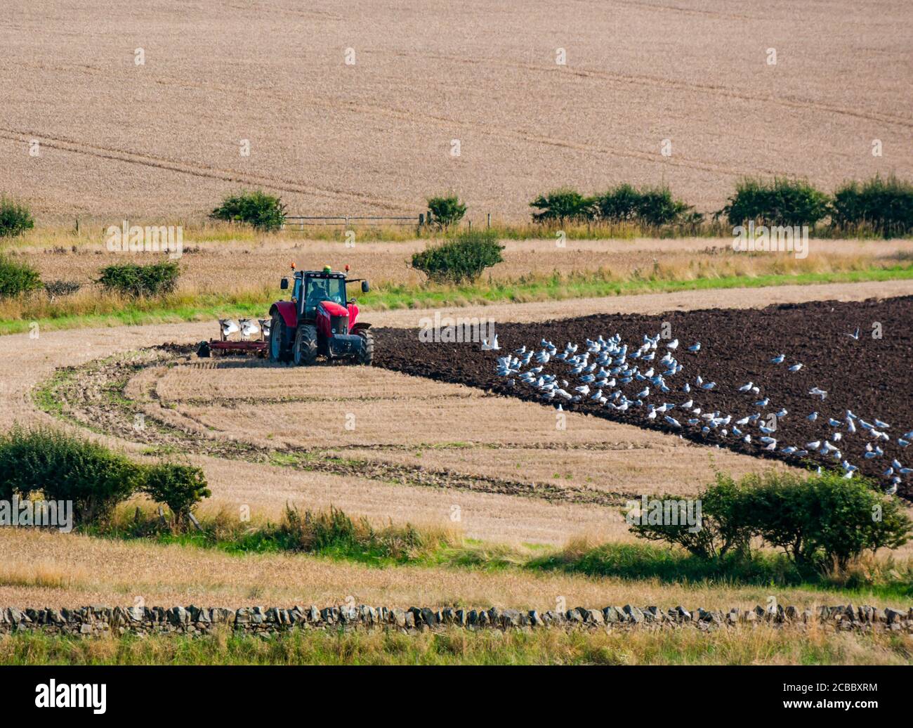 Farming cycle hi-res stock photography and images - Alamy