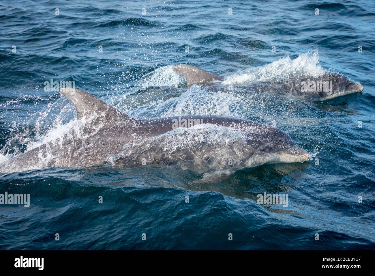Island off donegal coast hi-res stock photography and images - Alamy