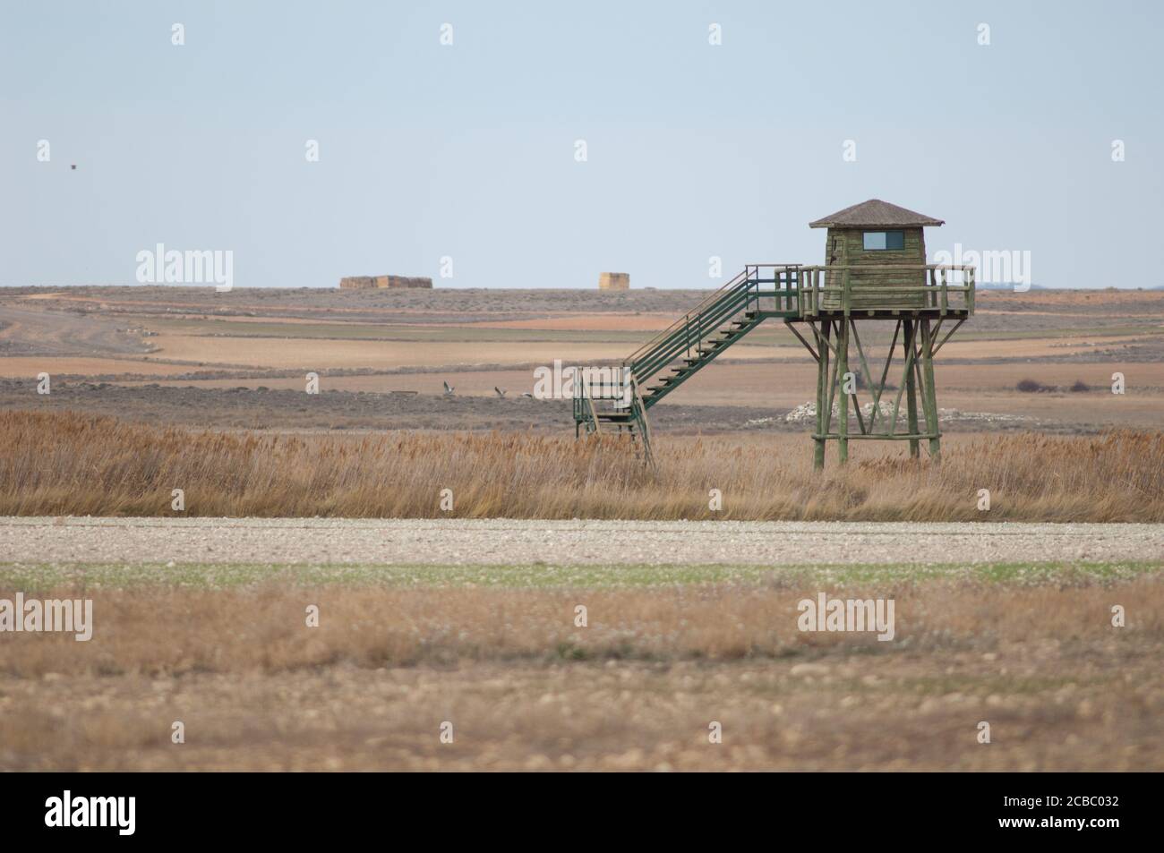 Bird watching towers hi-res stock photography and images - Alamy