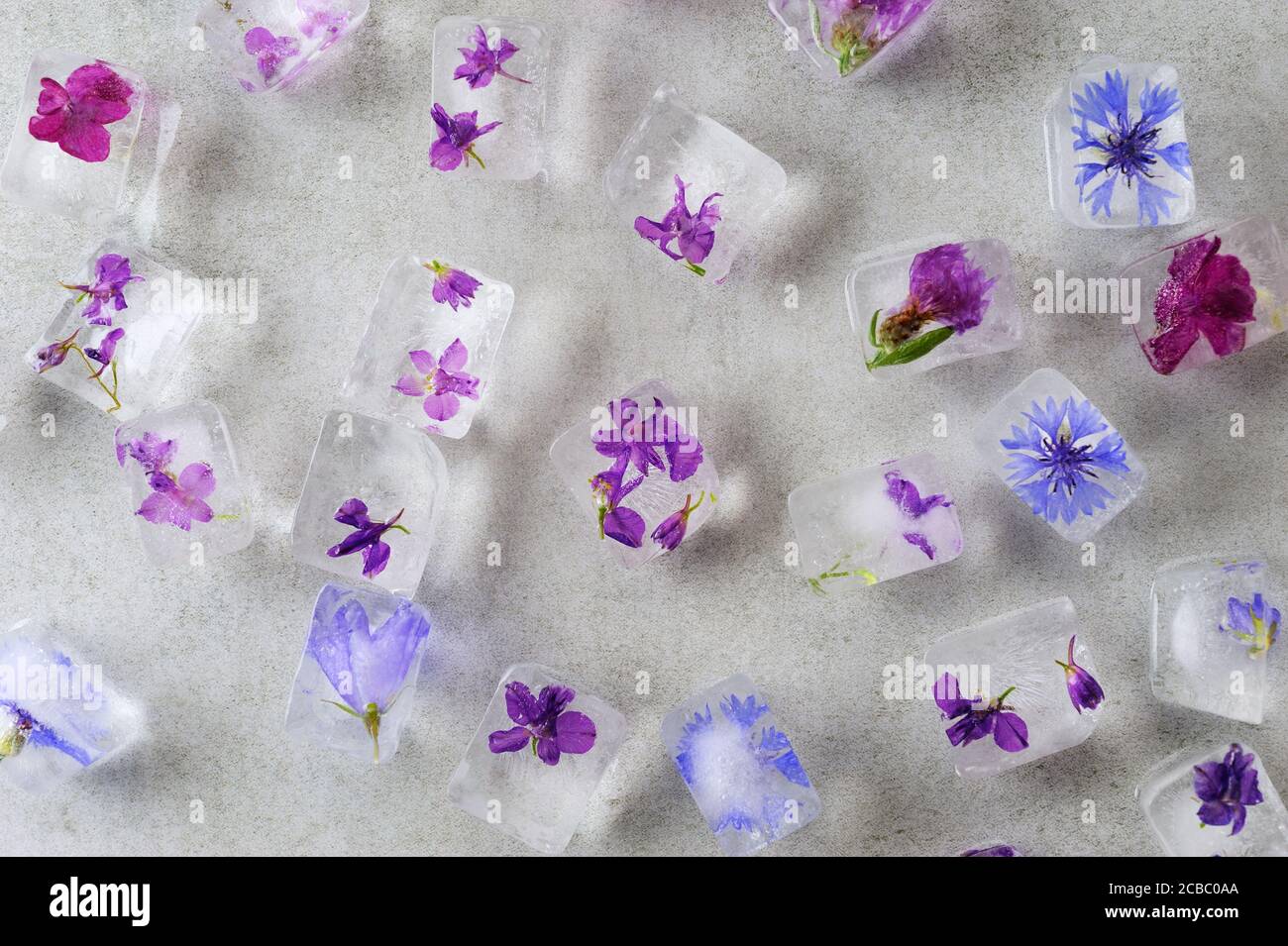 Plants ice cubes hi-res stock photography and images - Alamy
