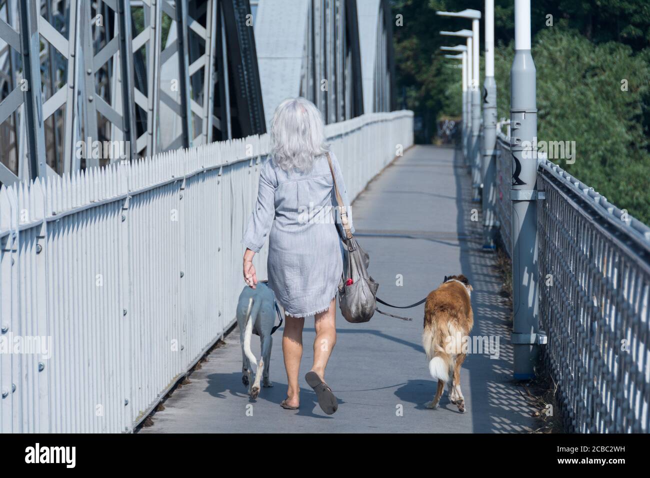 A woman and her dogs walking across Barnes Bridge in SW London, UK ...