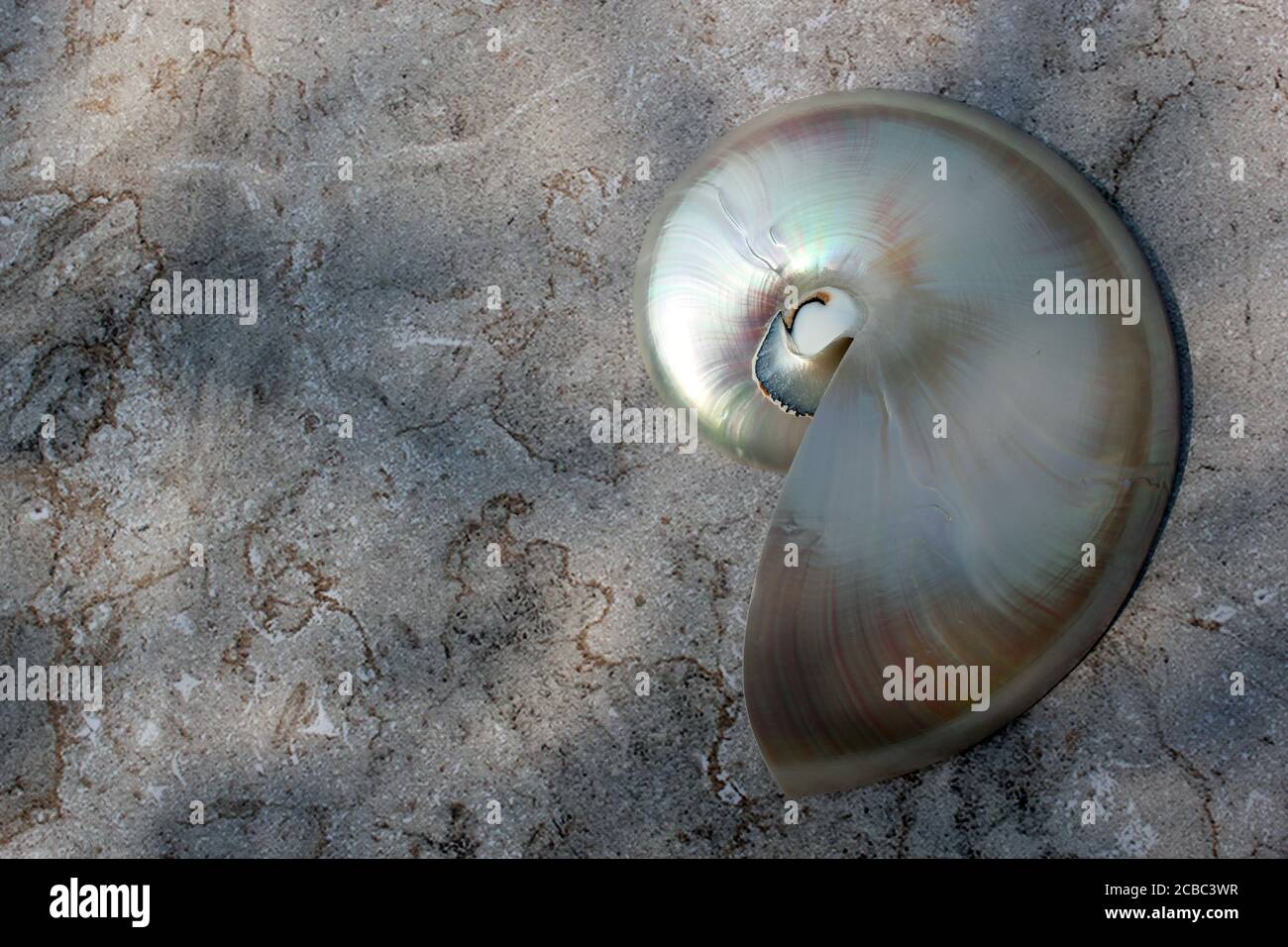 Fibonacci Sequence In Space