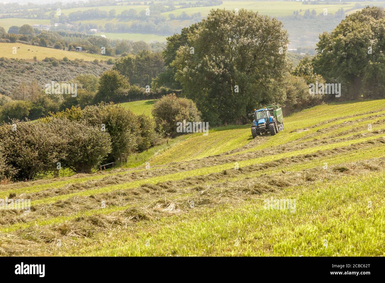 Marshall farm hi-res stock photography and images - Alamy