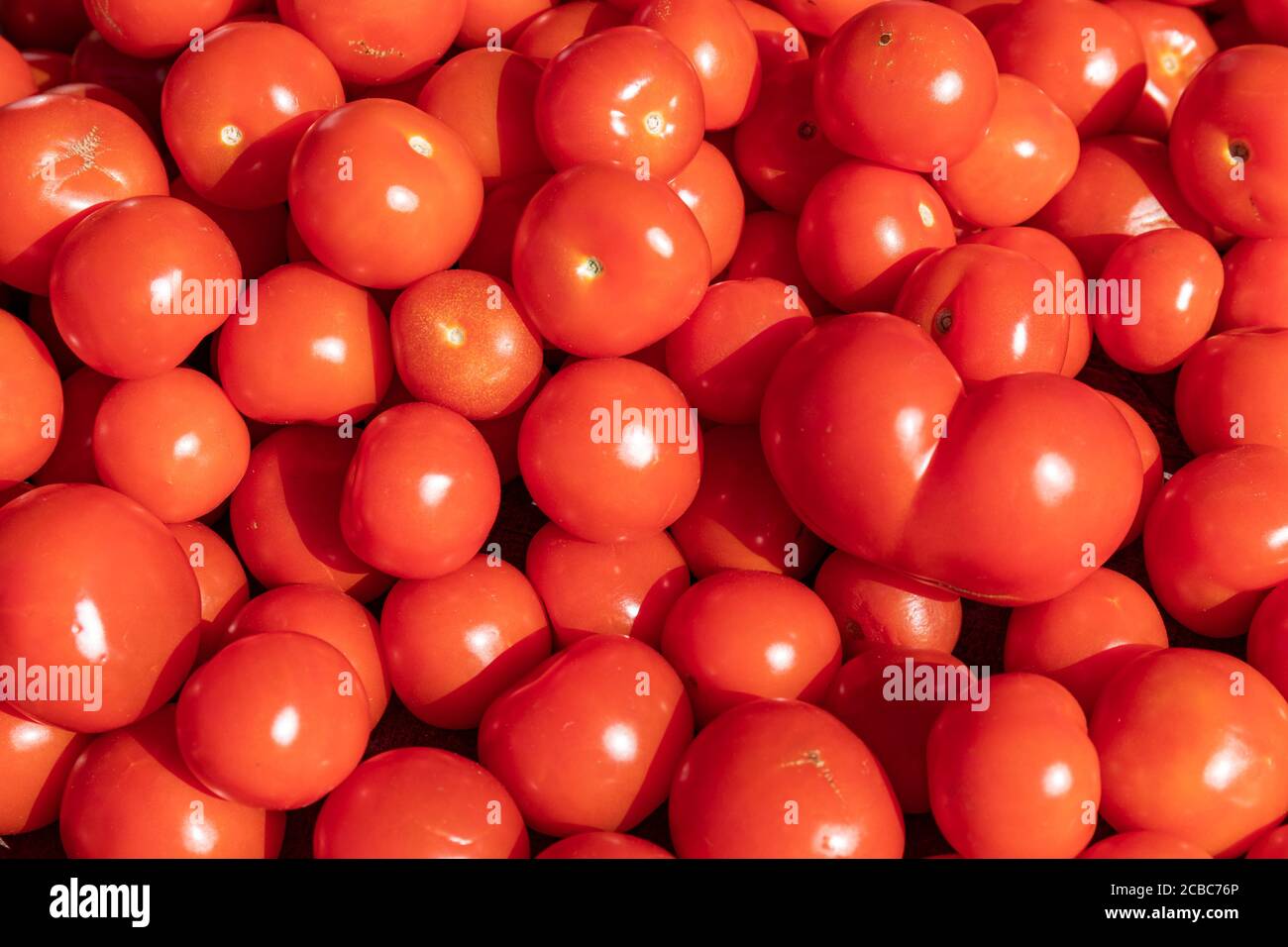 Closeup red tomatoes hi-res stock photography and images - Alamy