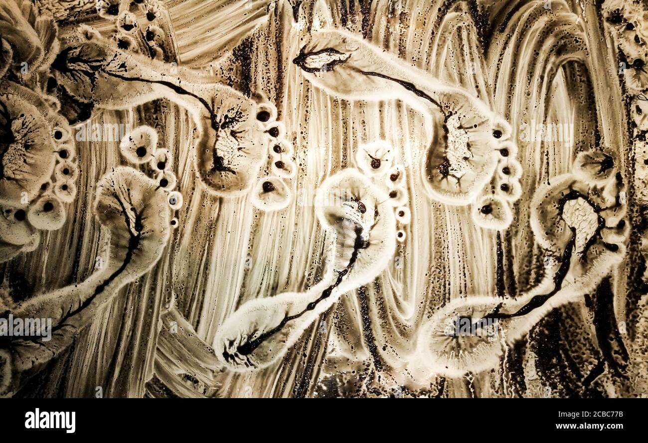 Barefoot on dirt hi-res stock photography and images - Alamy