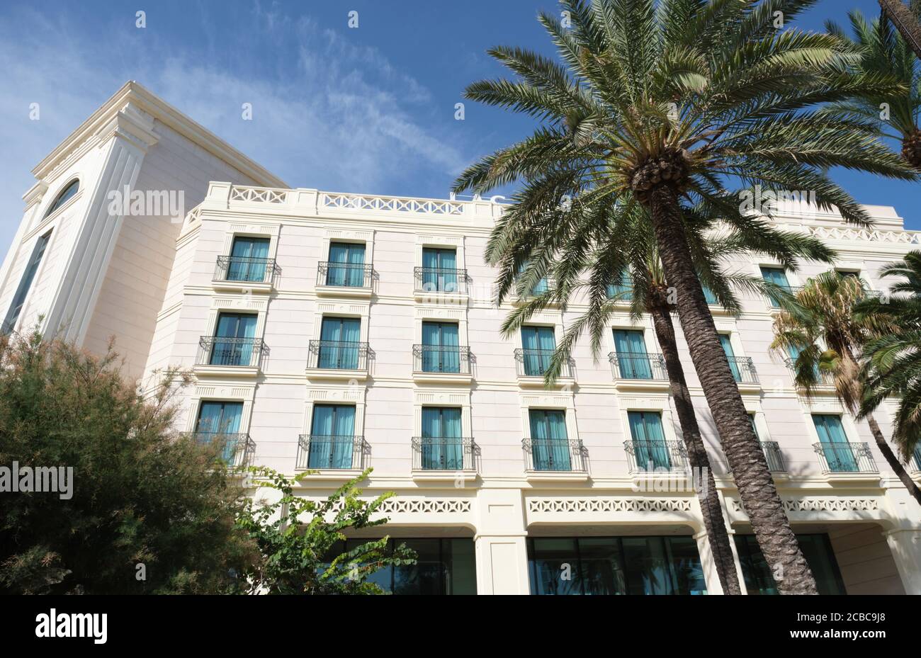 Realistic palm tree hi-res stock photography and images - Alamy