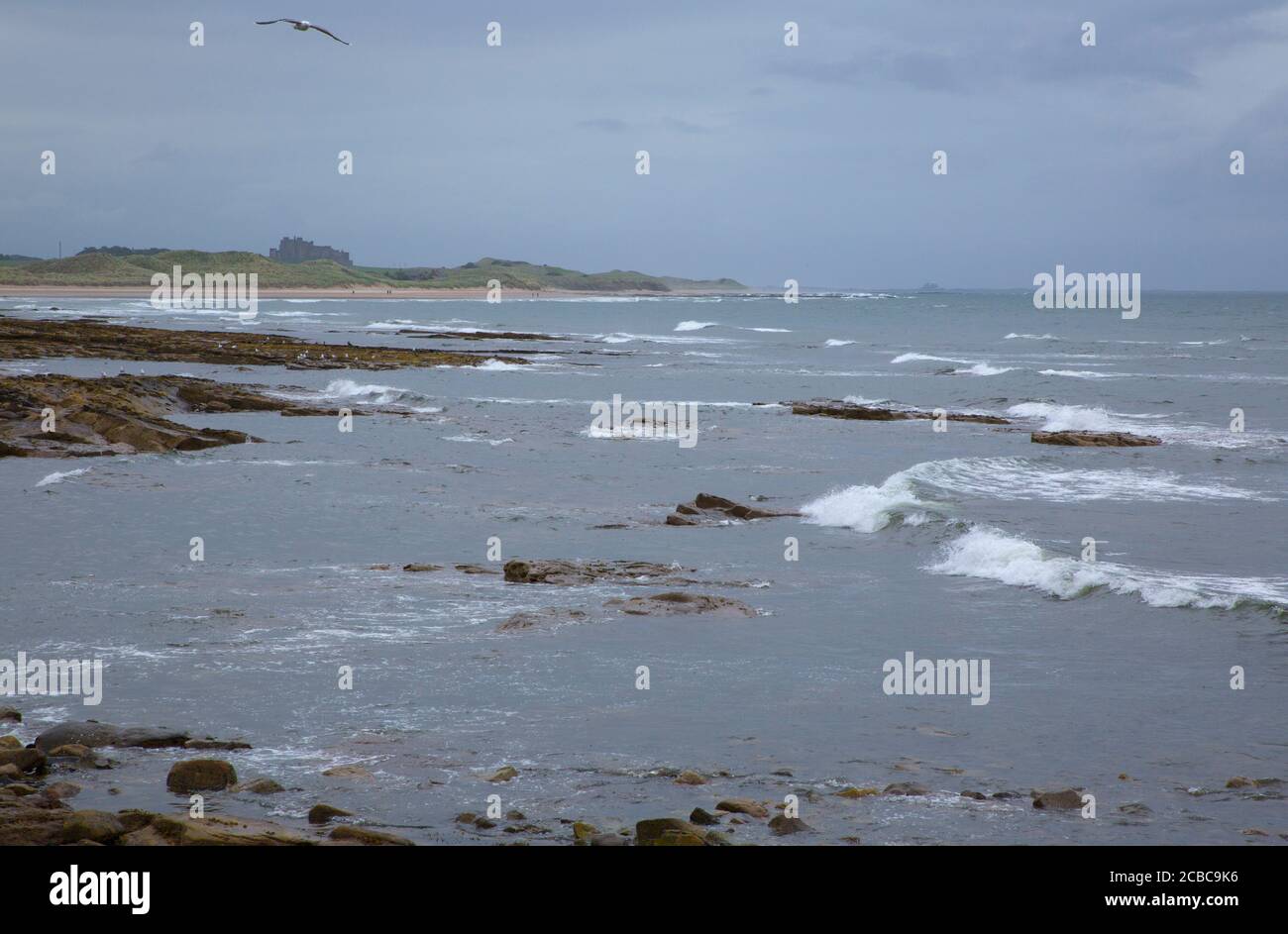 View of Bamburgh Castle from Seahouses, Northumberland, UK Stock Photo ...