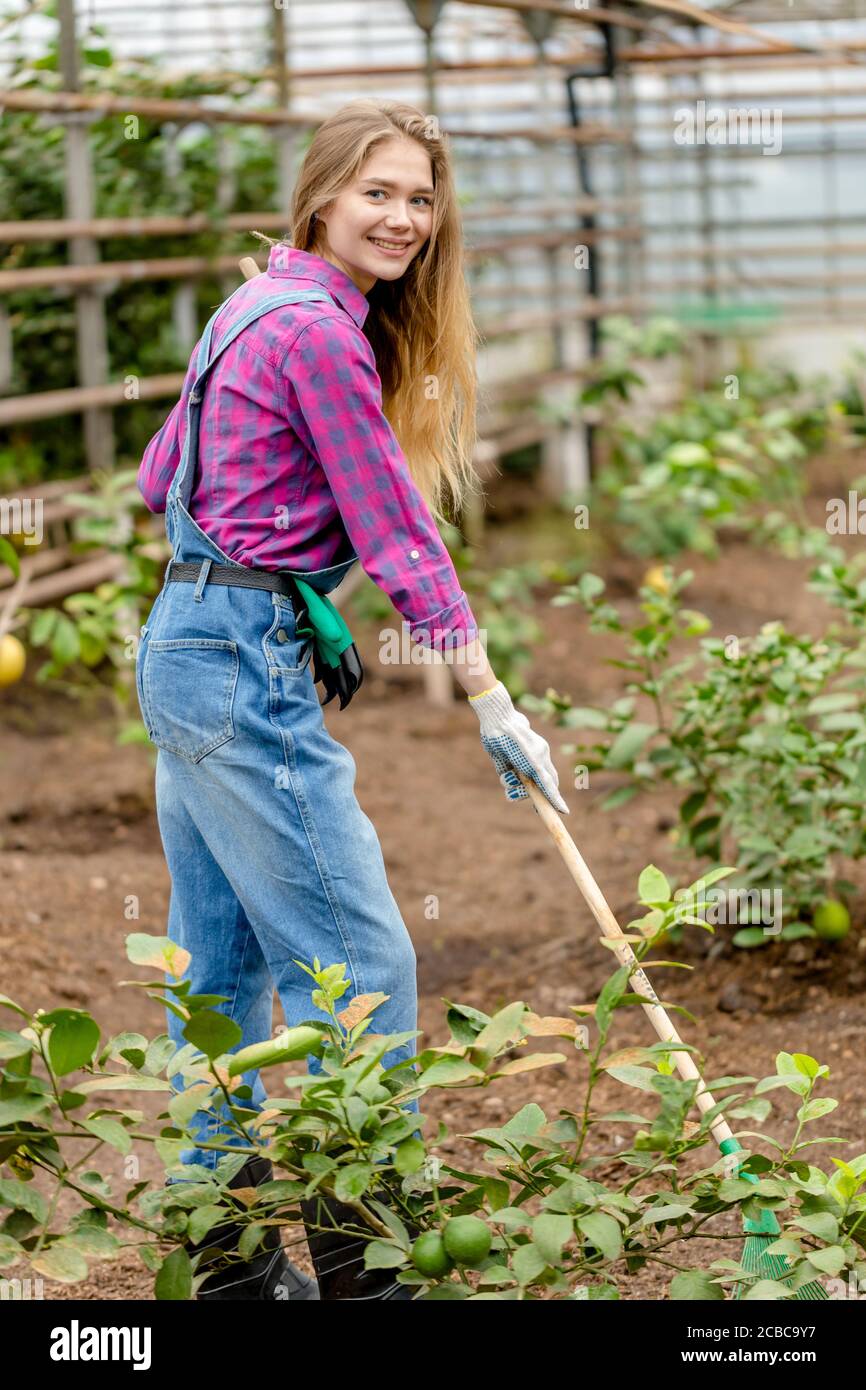 Using a lemon to clean hi-res stock photography and images - Alamy
