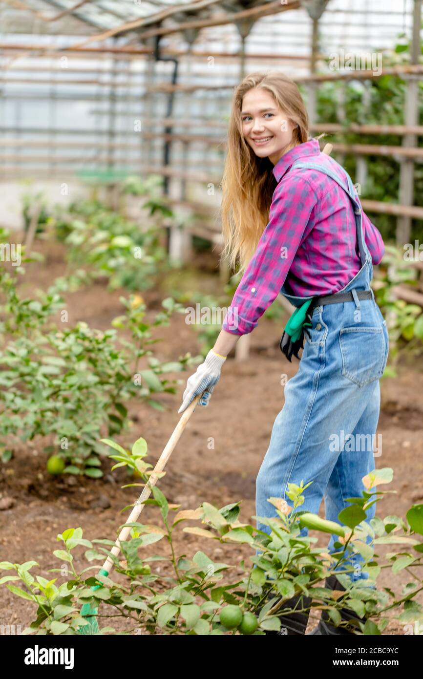 Female gardener using rake in hi-res stock photography and images - Alamy
