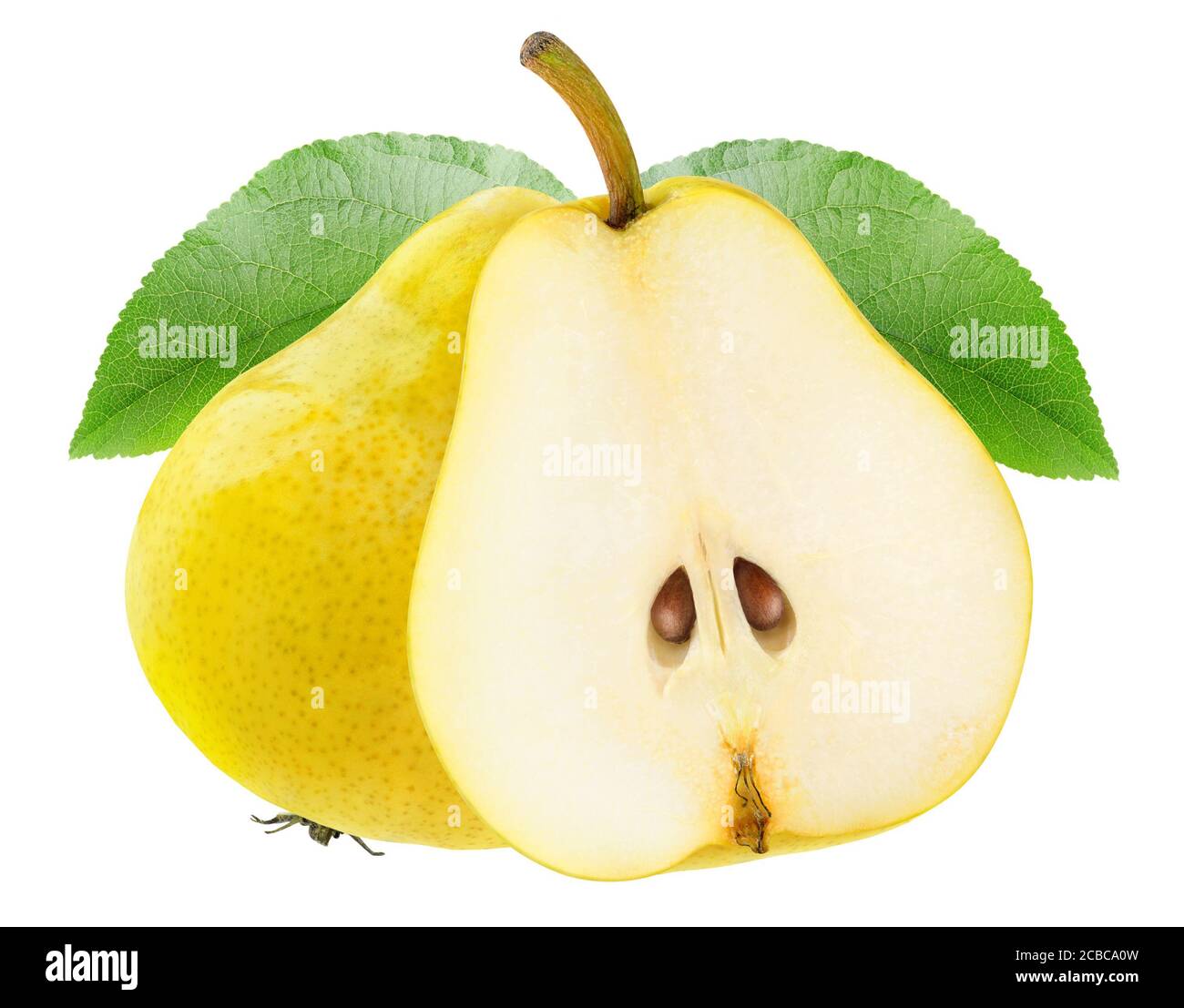 Branch of pears hi-res stock photography and images - Alamy