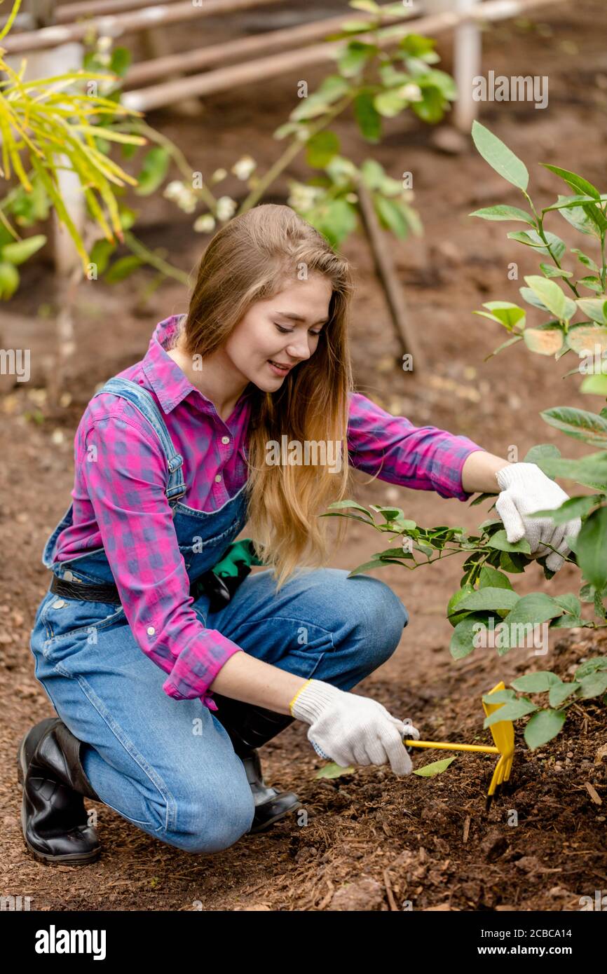 Farmer using hoe hand tool hi-res stock photography and images - Alamy