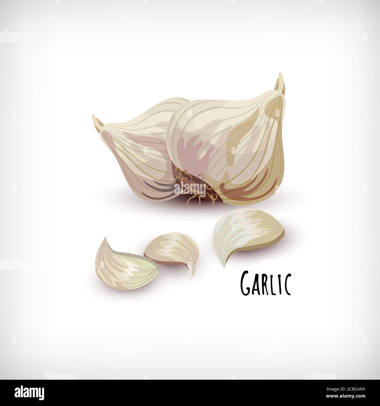 Garlic cloves in flat style isolated on white background. Vegetable ...