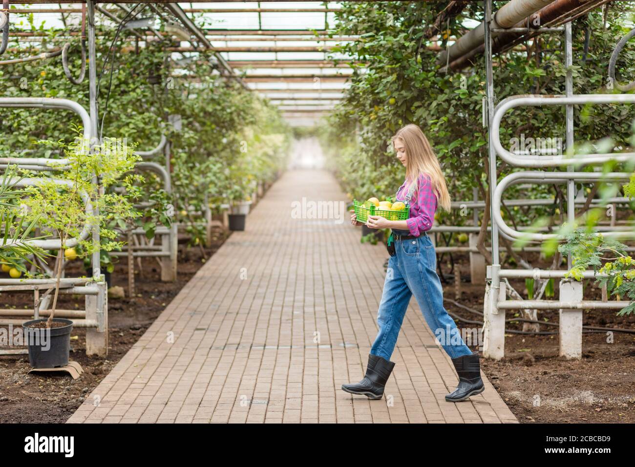 Woman fruits basket walking hi-res stock photography and images - Alamy